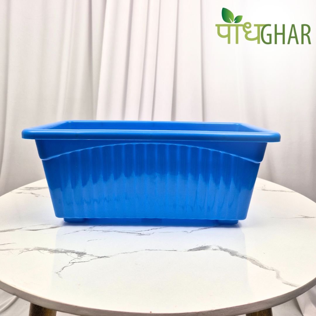 Jupiter Pots – #1 Choice for Bold and Beautiful Greenery! - PodhGhar ...